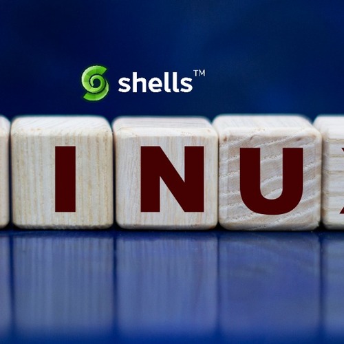 Shells